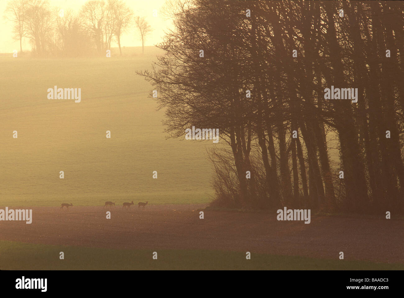 South downs winter hampshire hi-res stock photography and images - Alamy