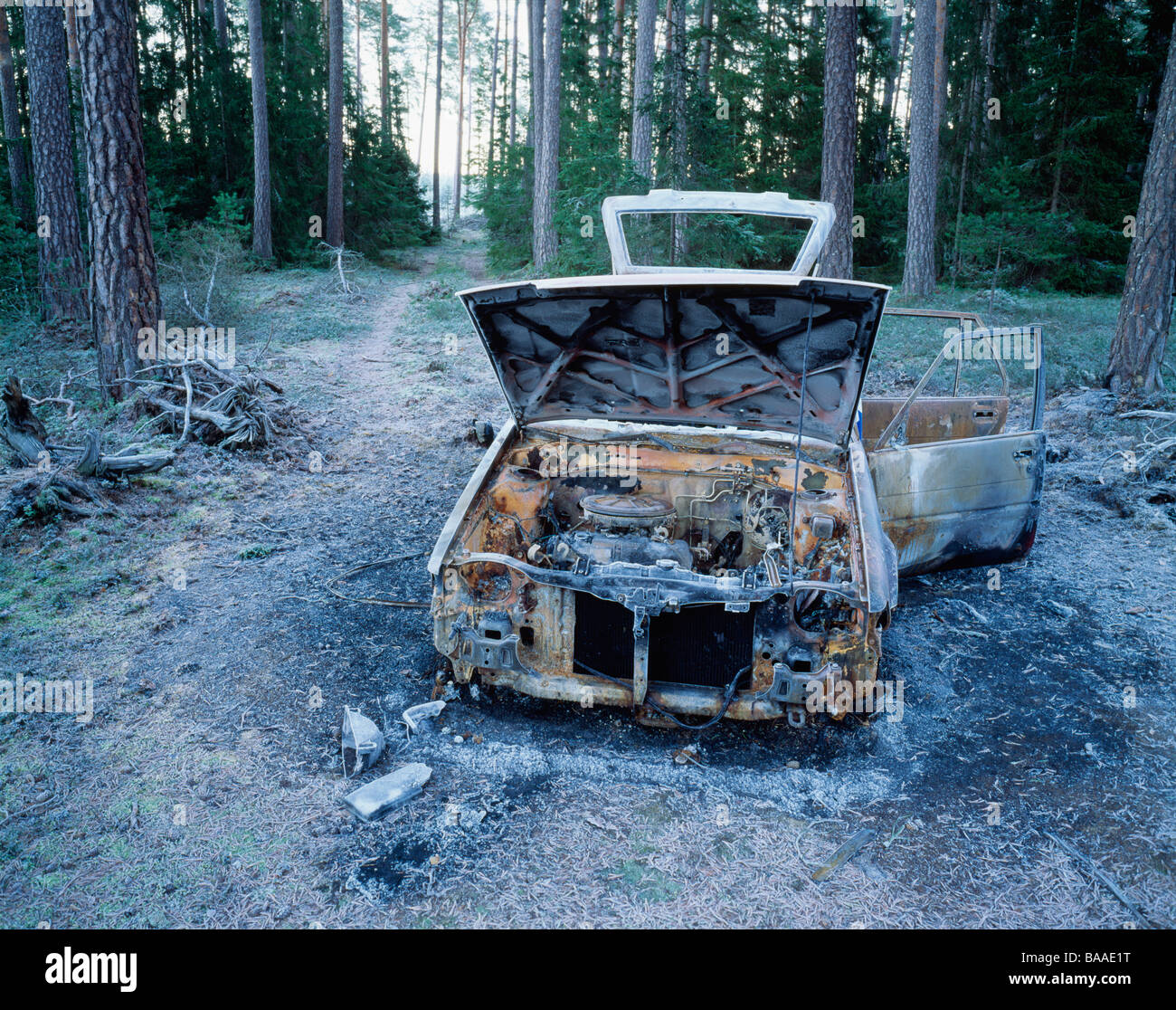 Forest logs burned in hi-res stock photography and images - Alamy
