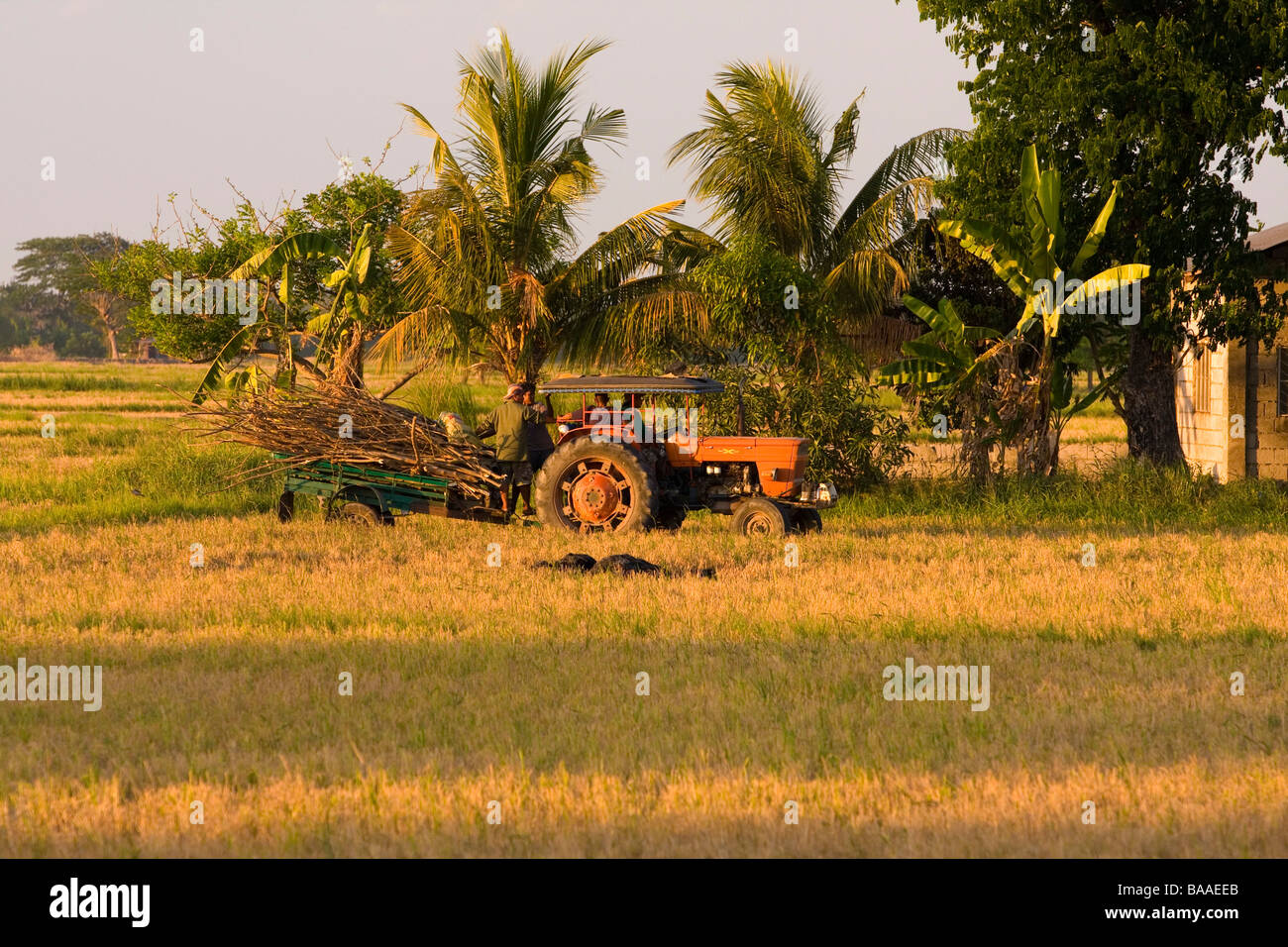 Tractor the philippines hi-res stock photography and images - Alamy