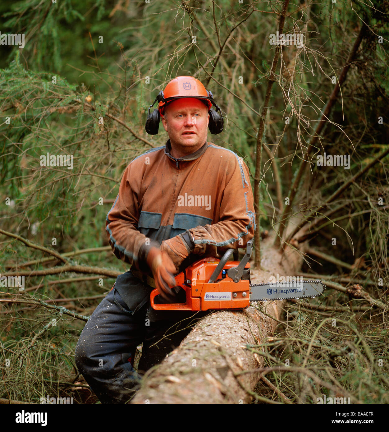 Sawing branch standing hi-res stock photography and images - Alamy