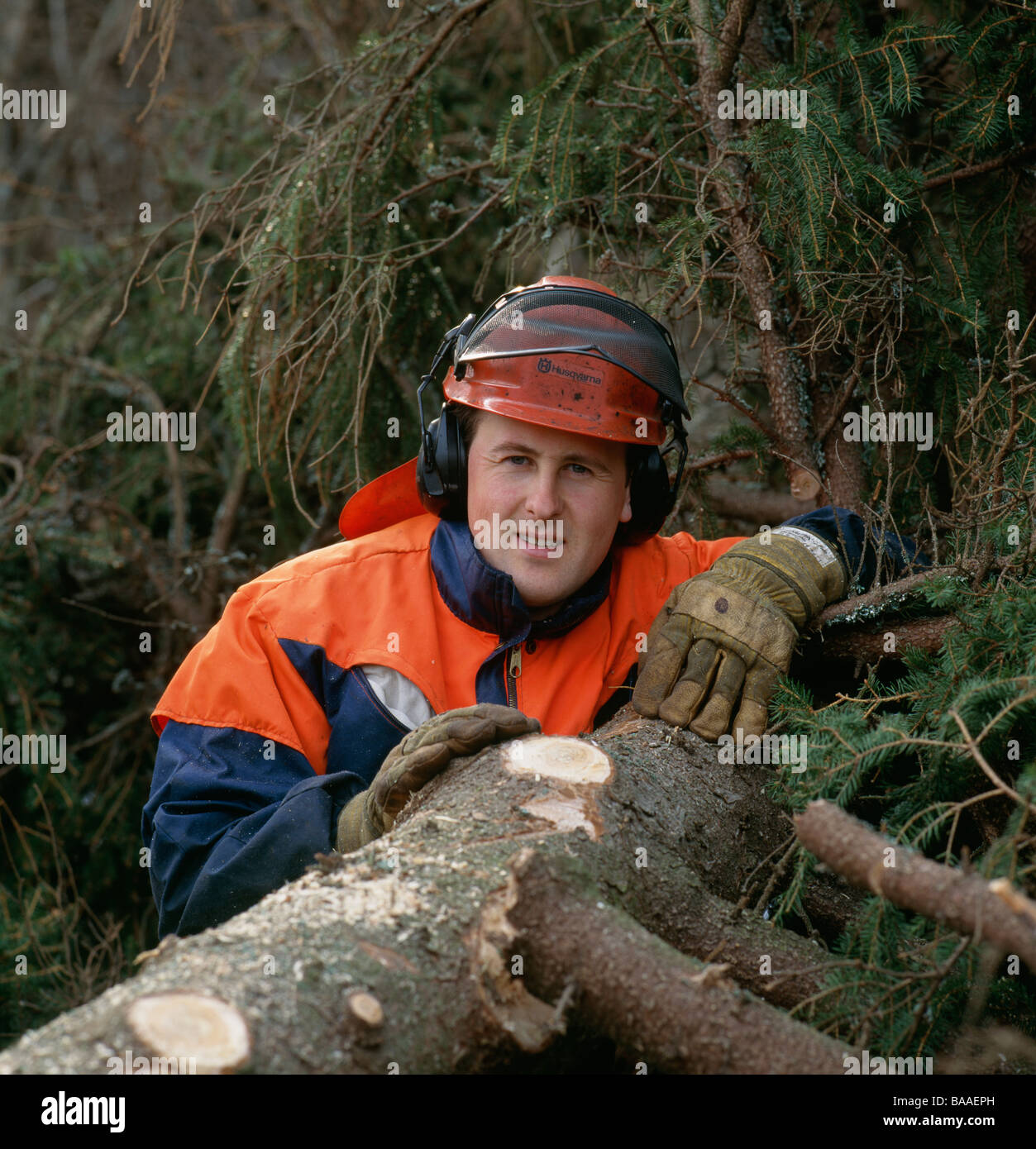 Mid adult man by tree trunk portrait Stock Photo - Alamy