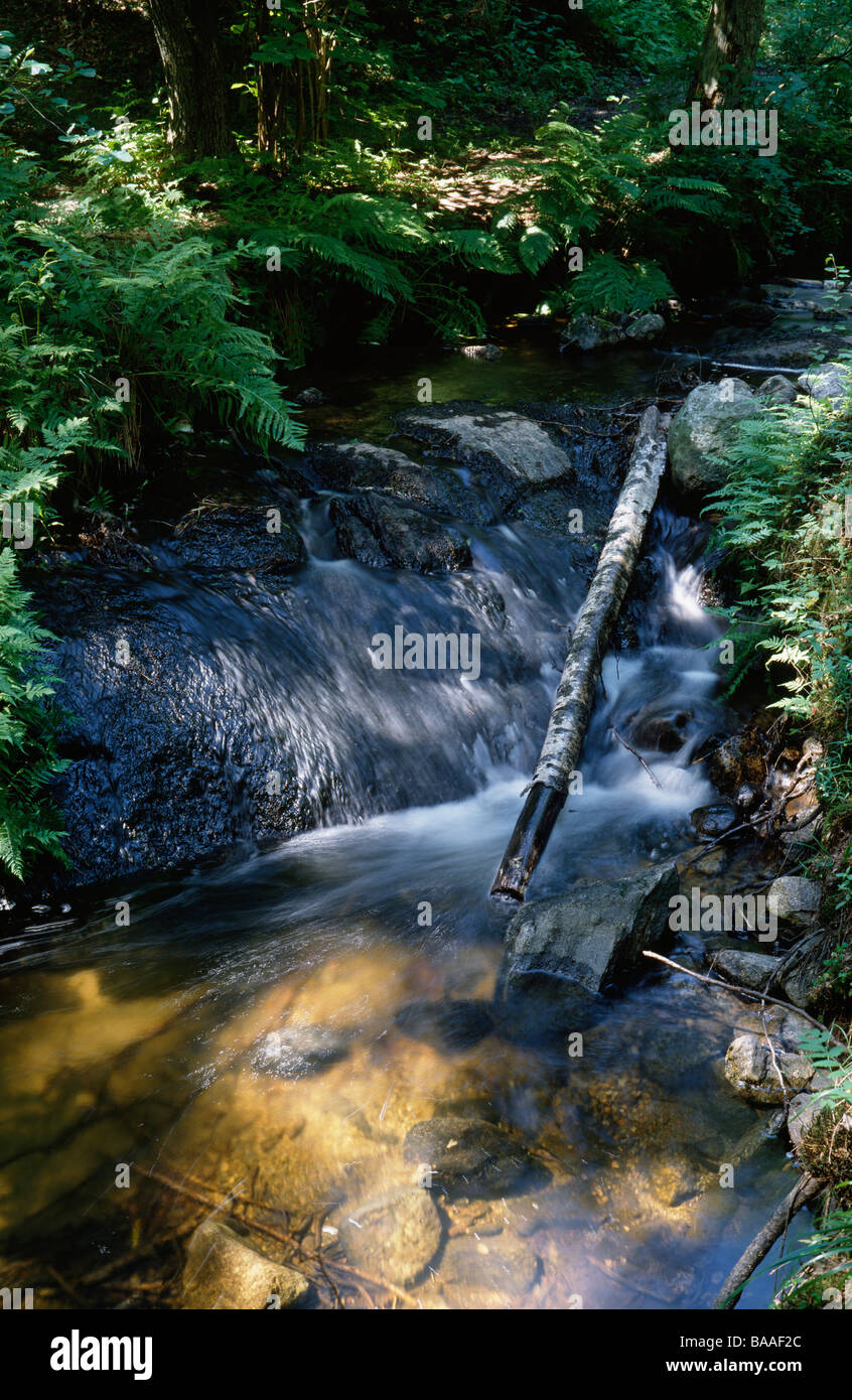 Stream transporting cut tree trunk elevated view Stock Photo - Alamy