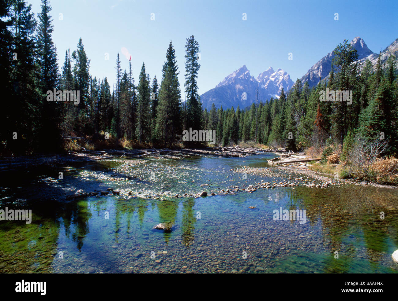 Stream flowing between trees with mountain in background Stock Photo ...