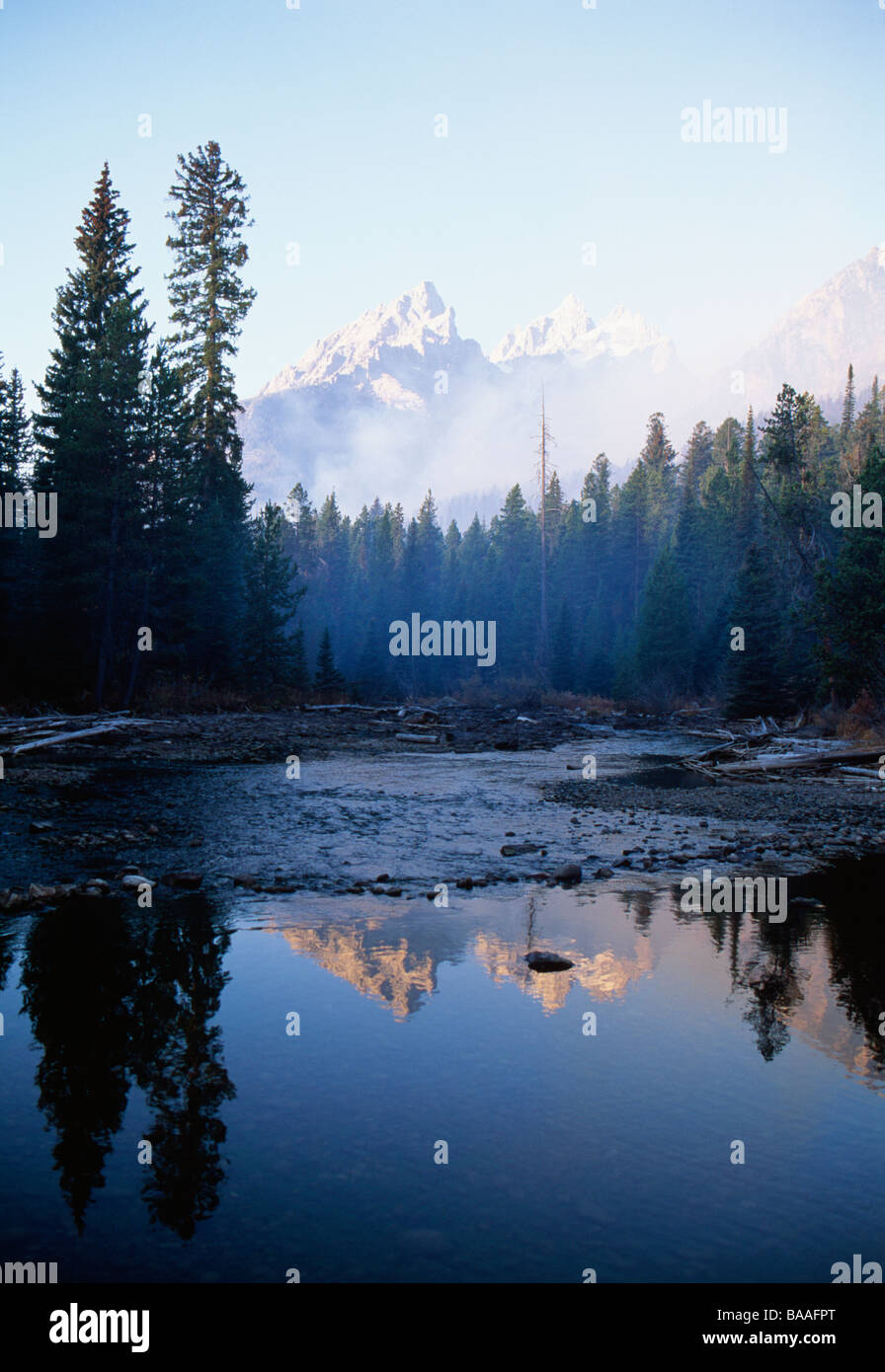 Marshy land at river bank Stock Photo - Alamy