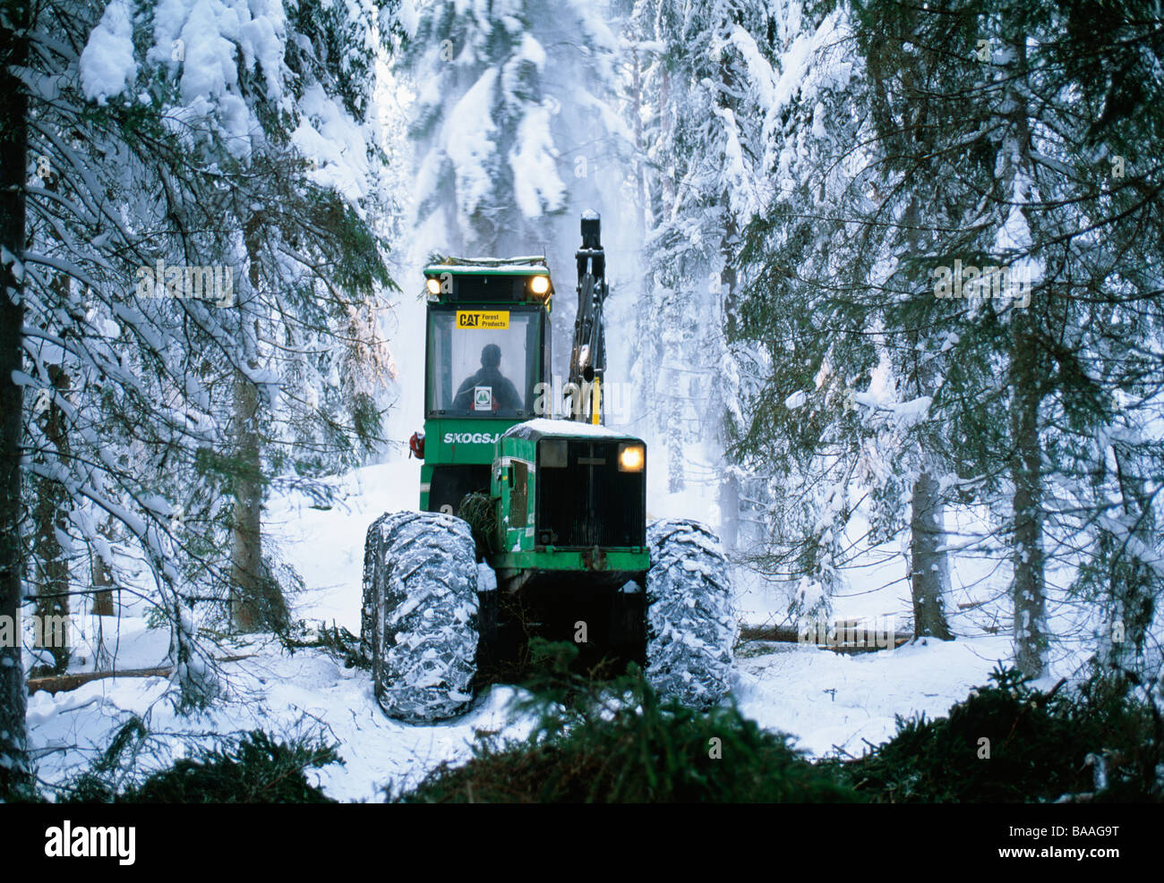 Man driving crane in snow-covered forest Stock Photo - Alamy