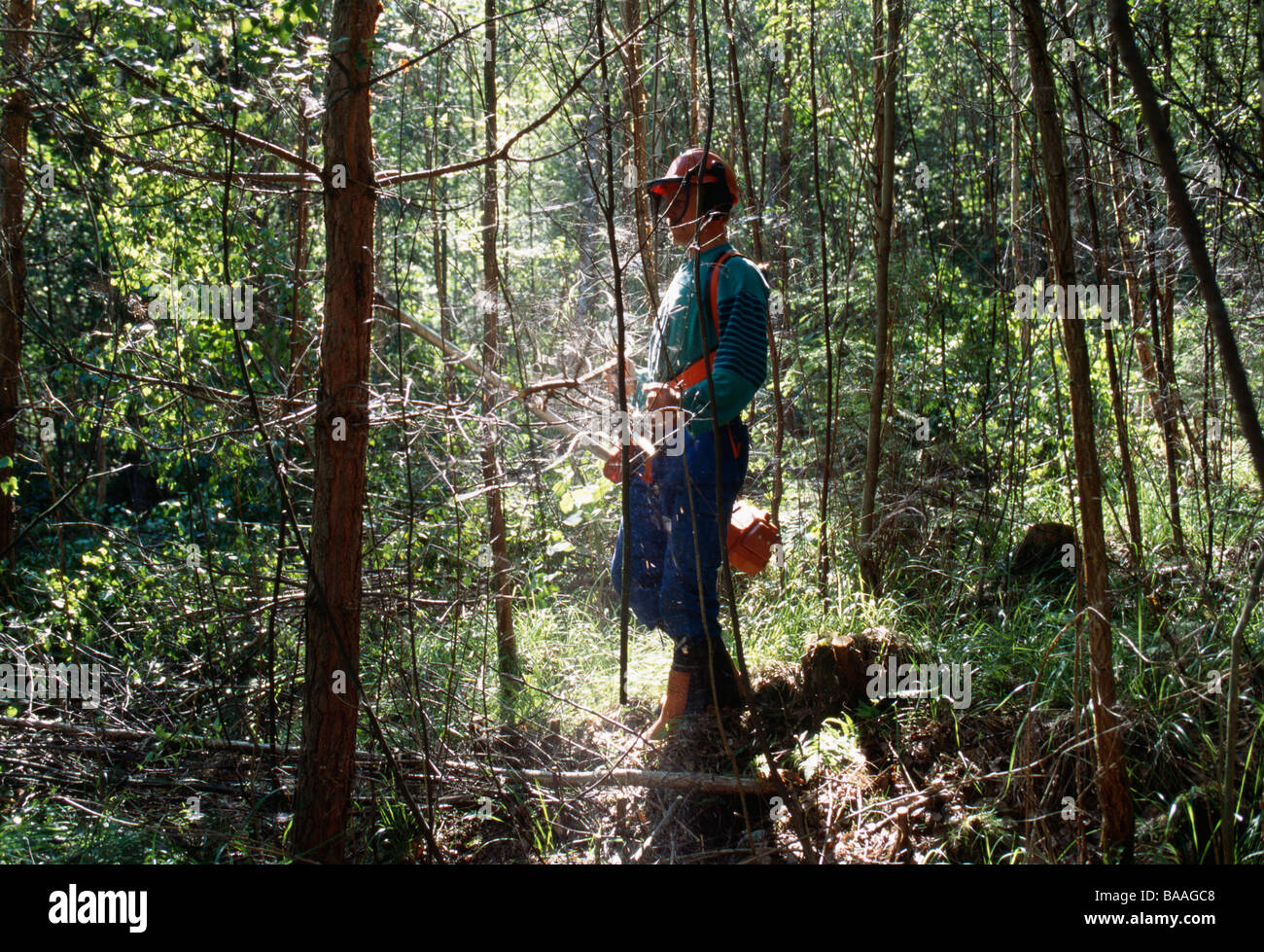 Man standing in forest Stock Photo - Alamy