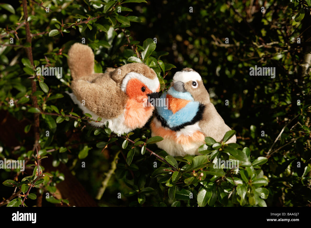 soft toy birds in the trees Stock Photo - Alamy