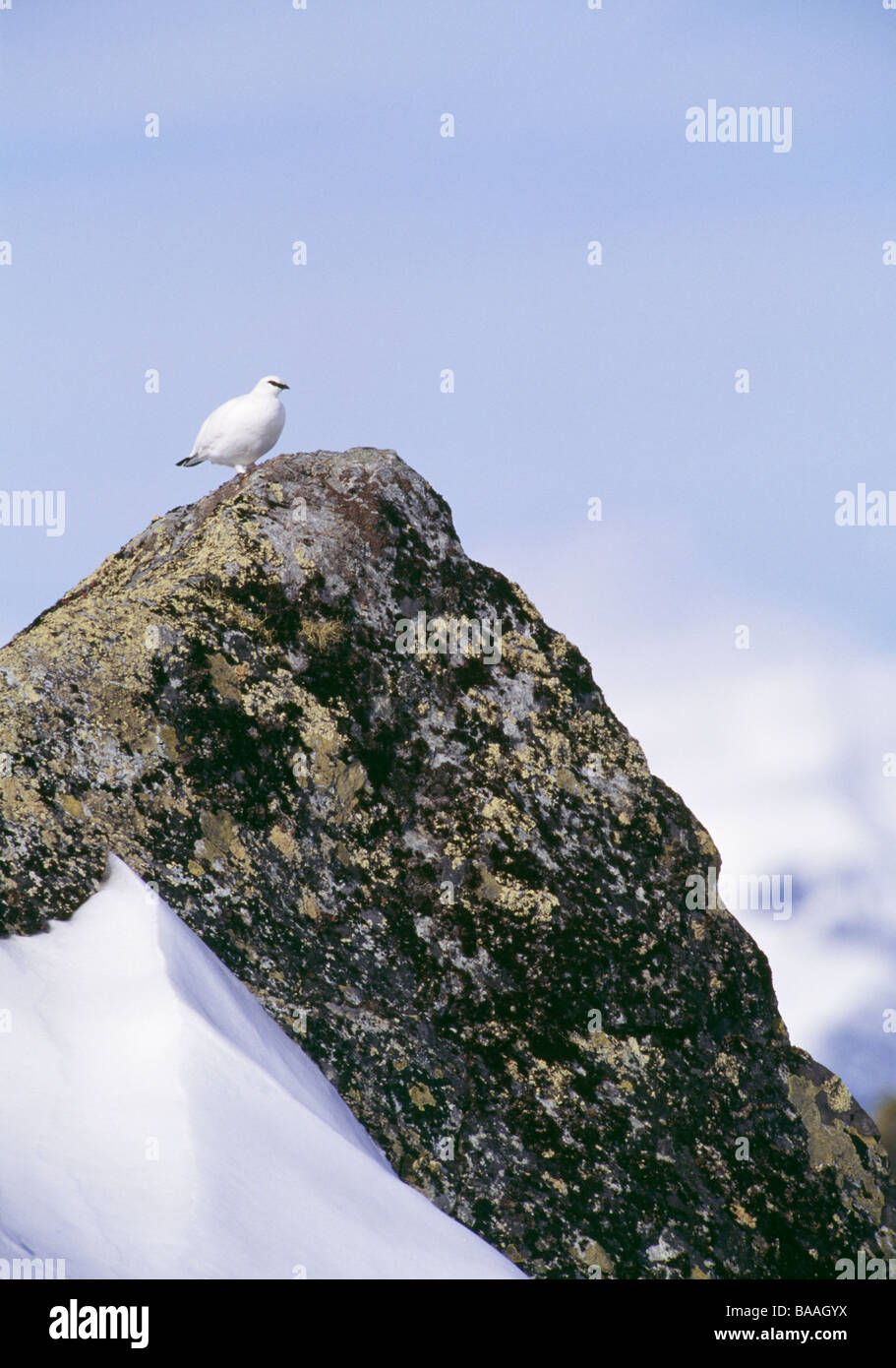 Perched block hi-res stock photography and images - Alamy