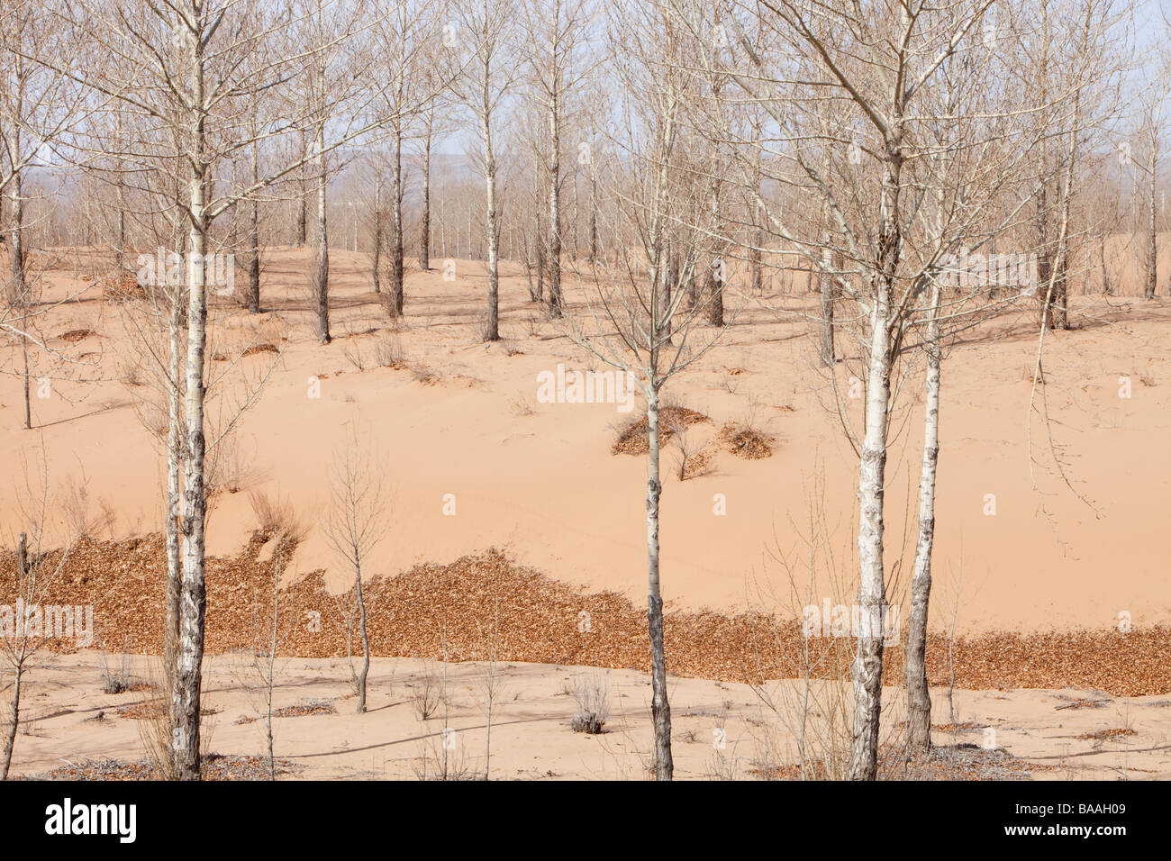 Climate change induced desertification in shanxi province, northern ...