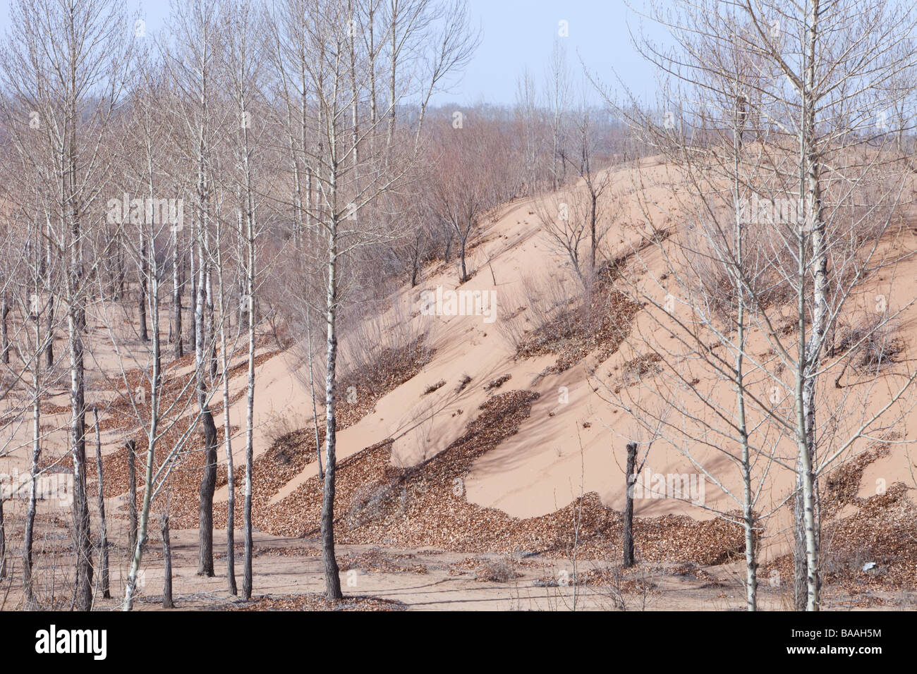 Climate change induced desertification in shanxi province, northern ...