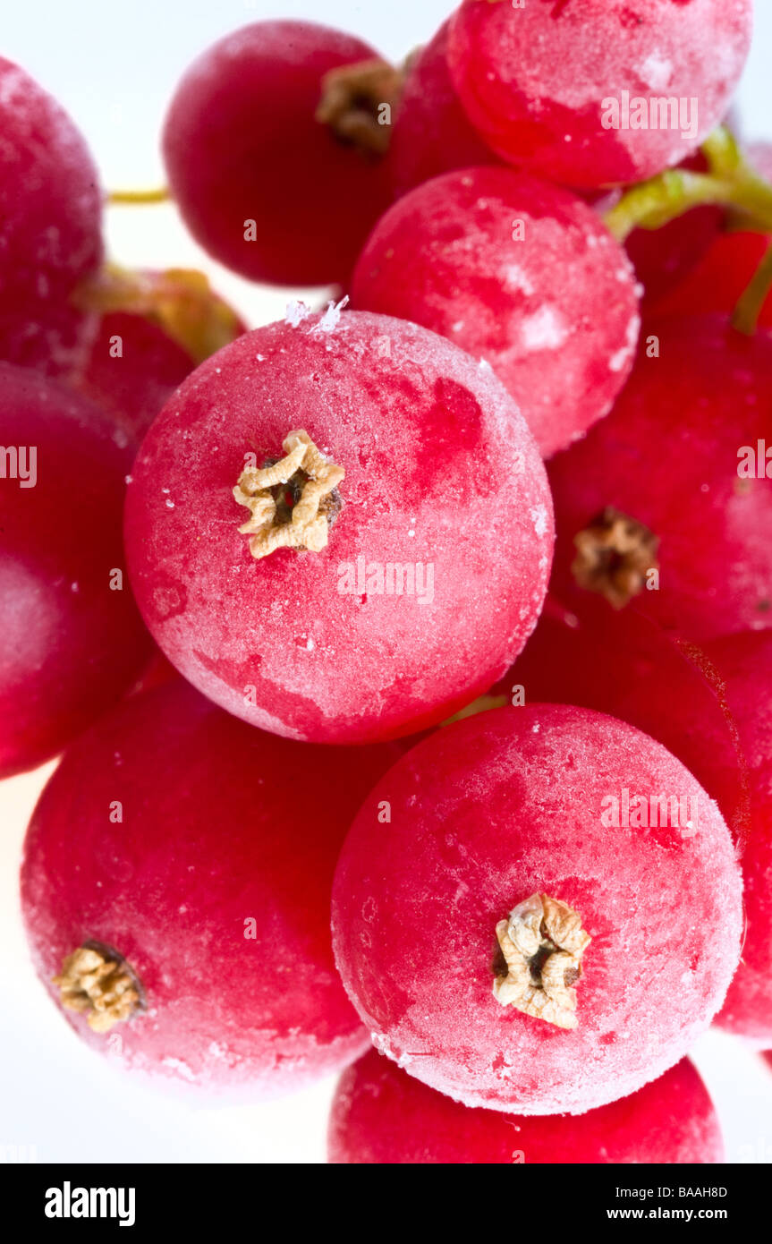 fresh frozen fruit in ice Stock Photo - Alamy