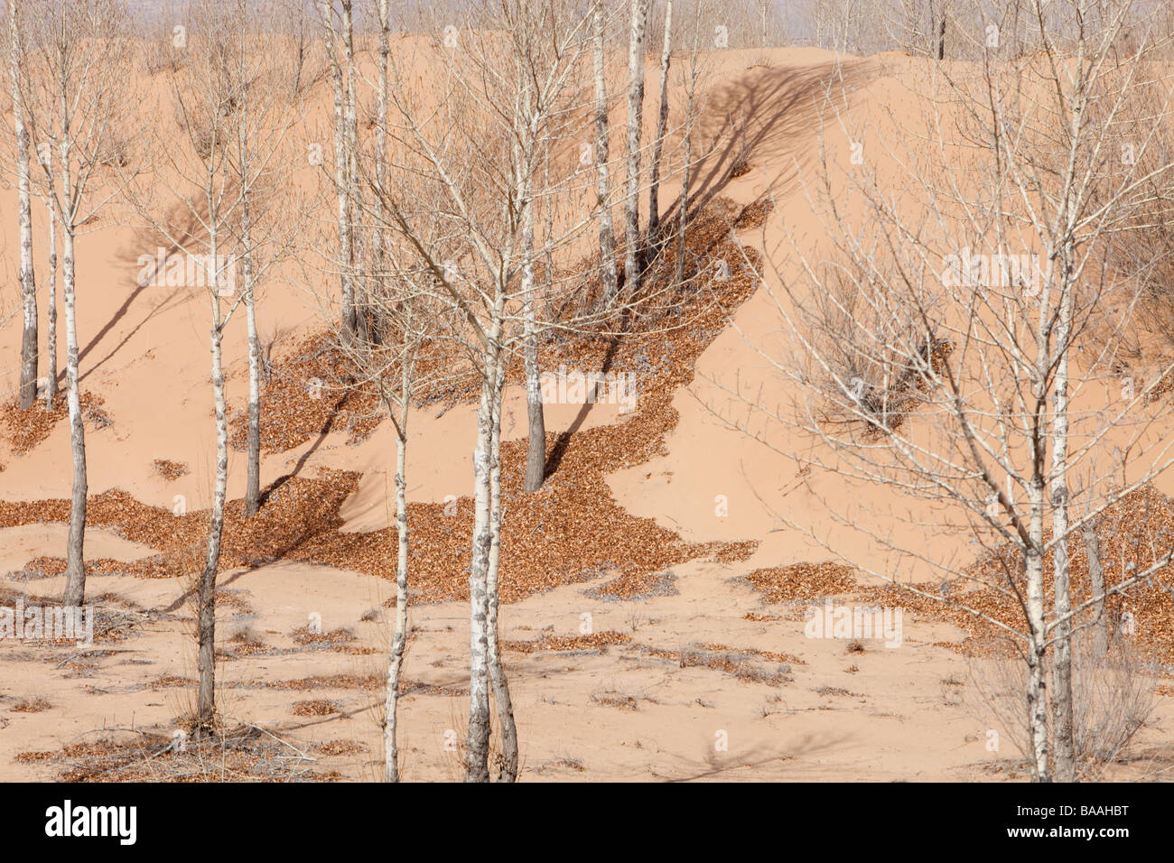 Climate change induced desertification in shanxi province, northern ...