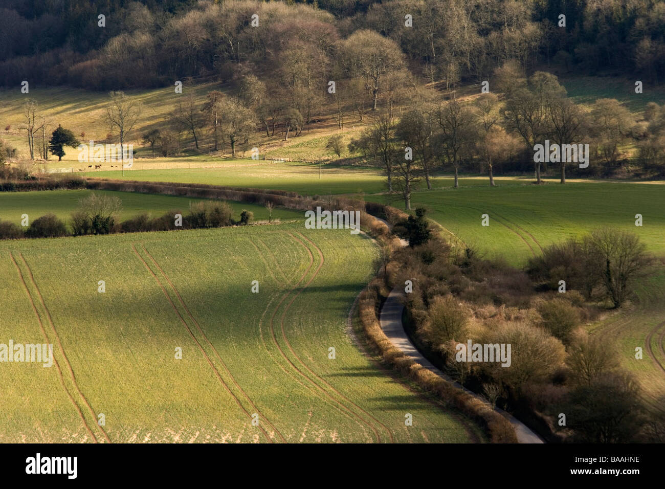 Old idsworth hi-res stock photography and images - Alamy