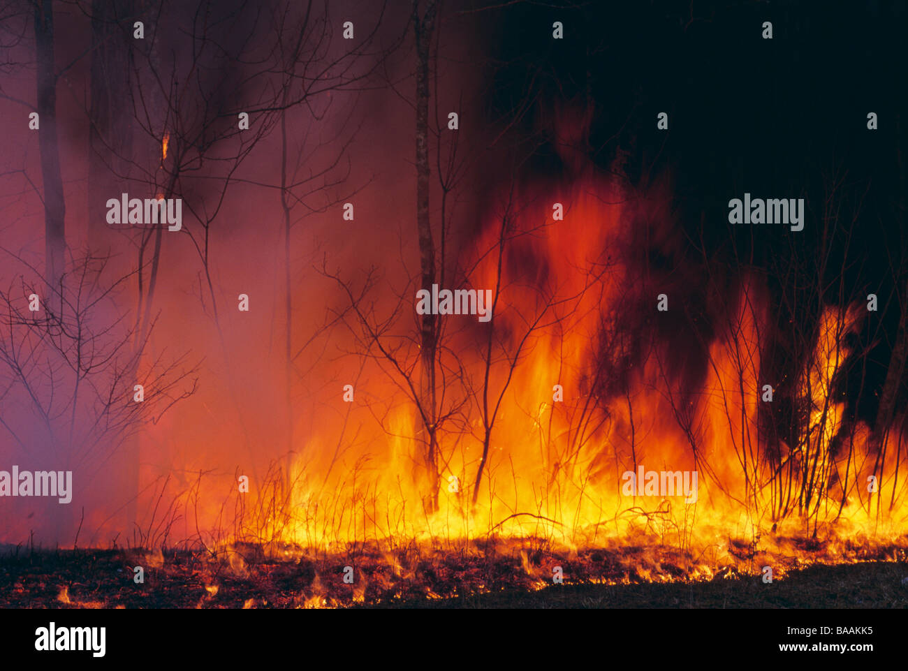Fire destroys nature hi-res stock photography and images - Alamy