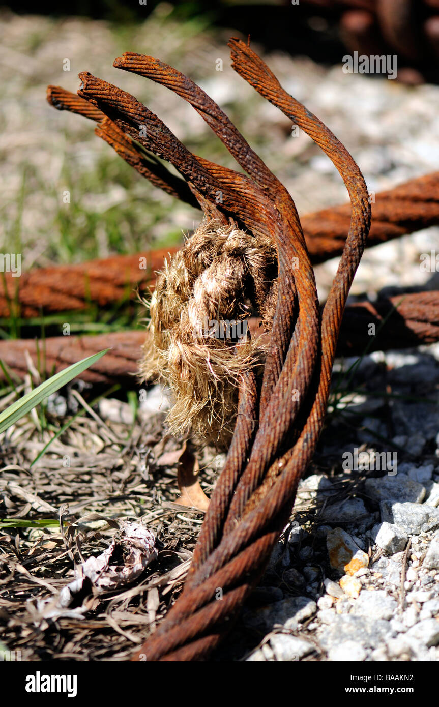 Strand of wire hi-res stock photography and images - Alamy