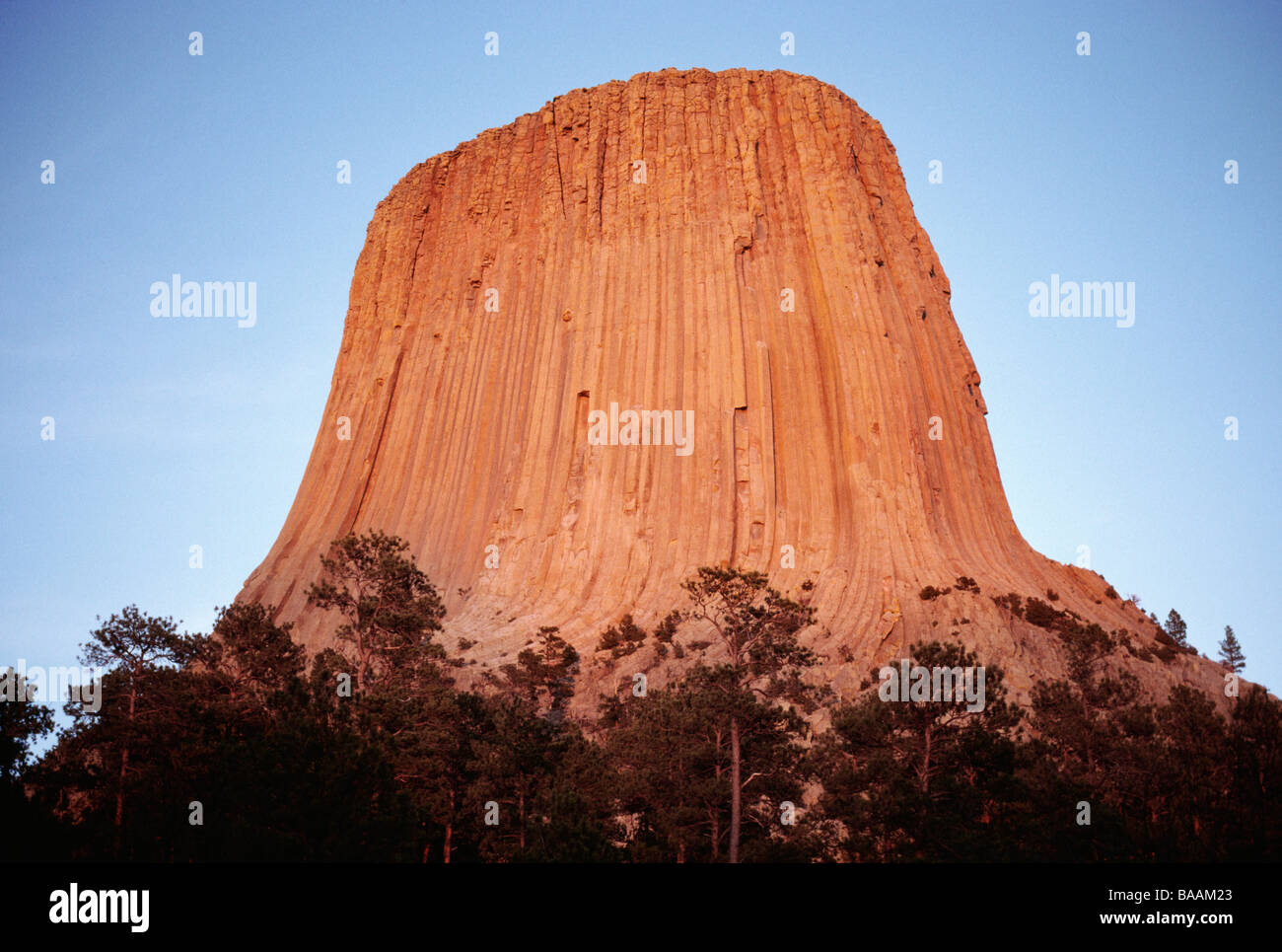 Low angle view of trees in front of rock formations hi-res stock ...