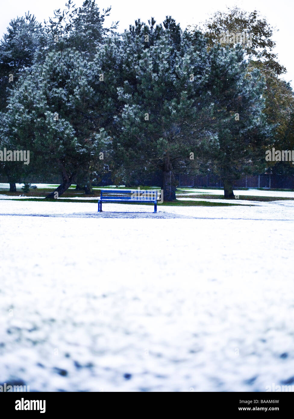 Snow Scene. Winter Scene. Cold Weather. Let it snow. White Scene ...