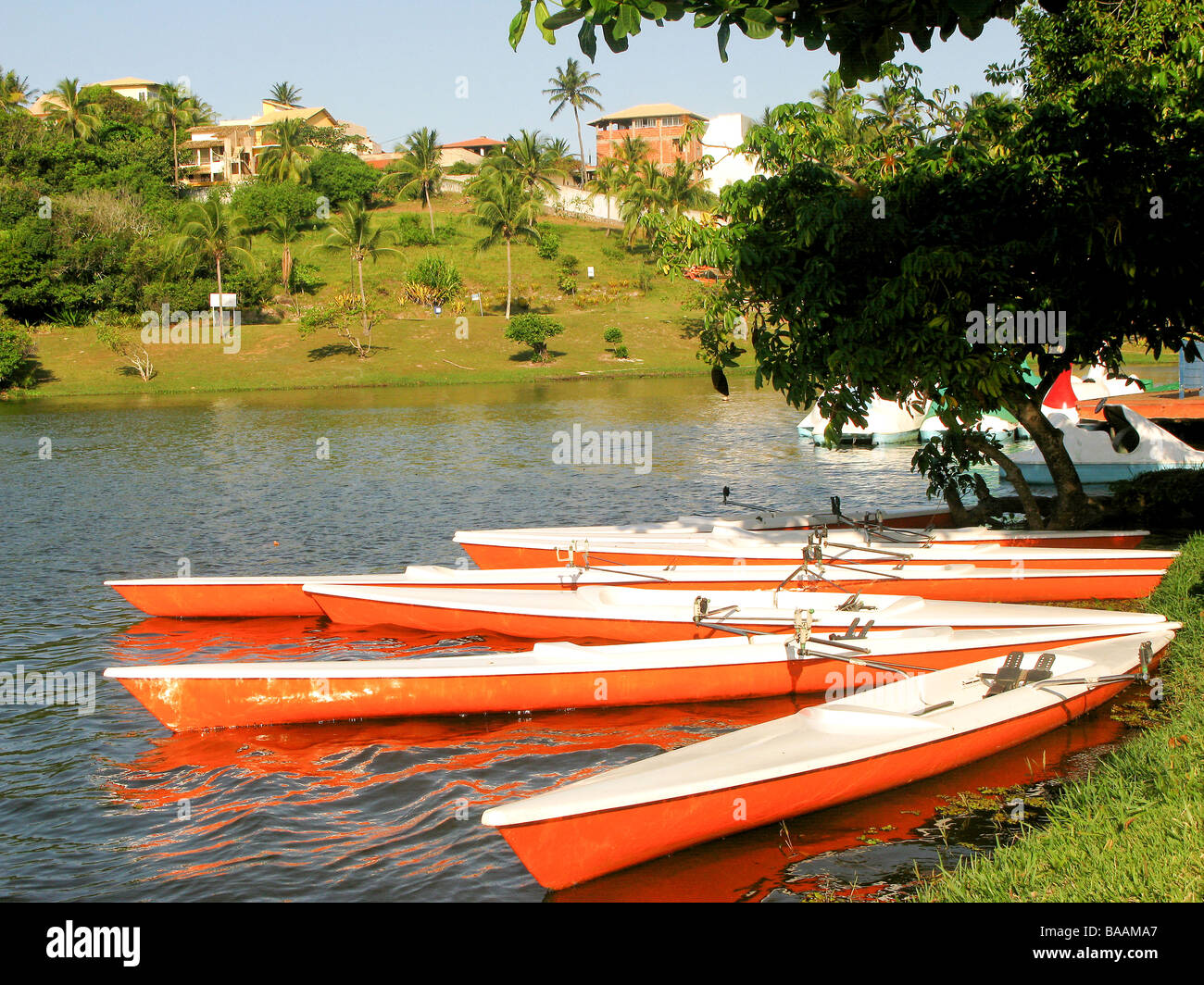 Park in Salvador da Bahia, near Flamingo Beach, Brazil Stock Photo - Alamy