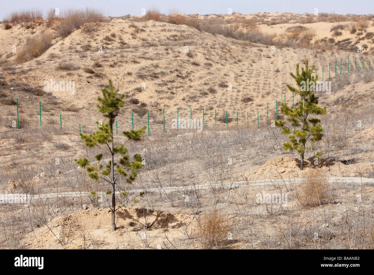 Desertification hi-res stock photography and images - Alamy