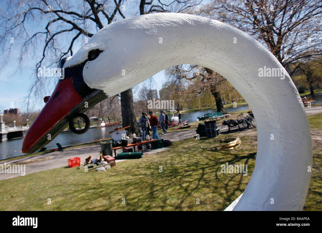 Swanboat hi-res stock photography and images - Alamy