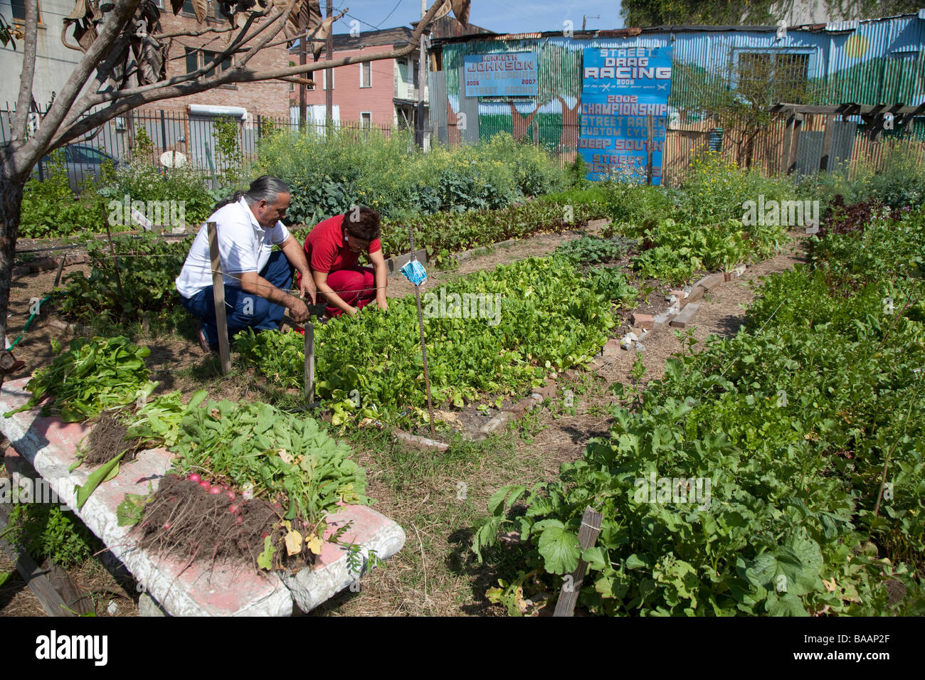 Cooperative community hi-res stock photography and images - Alamy