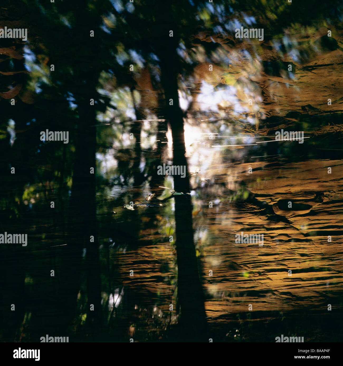 Reflection of trees on water Stock Photo - Alamy