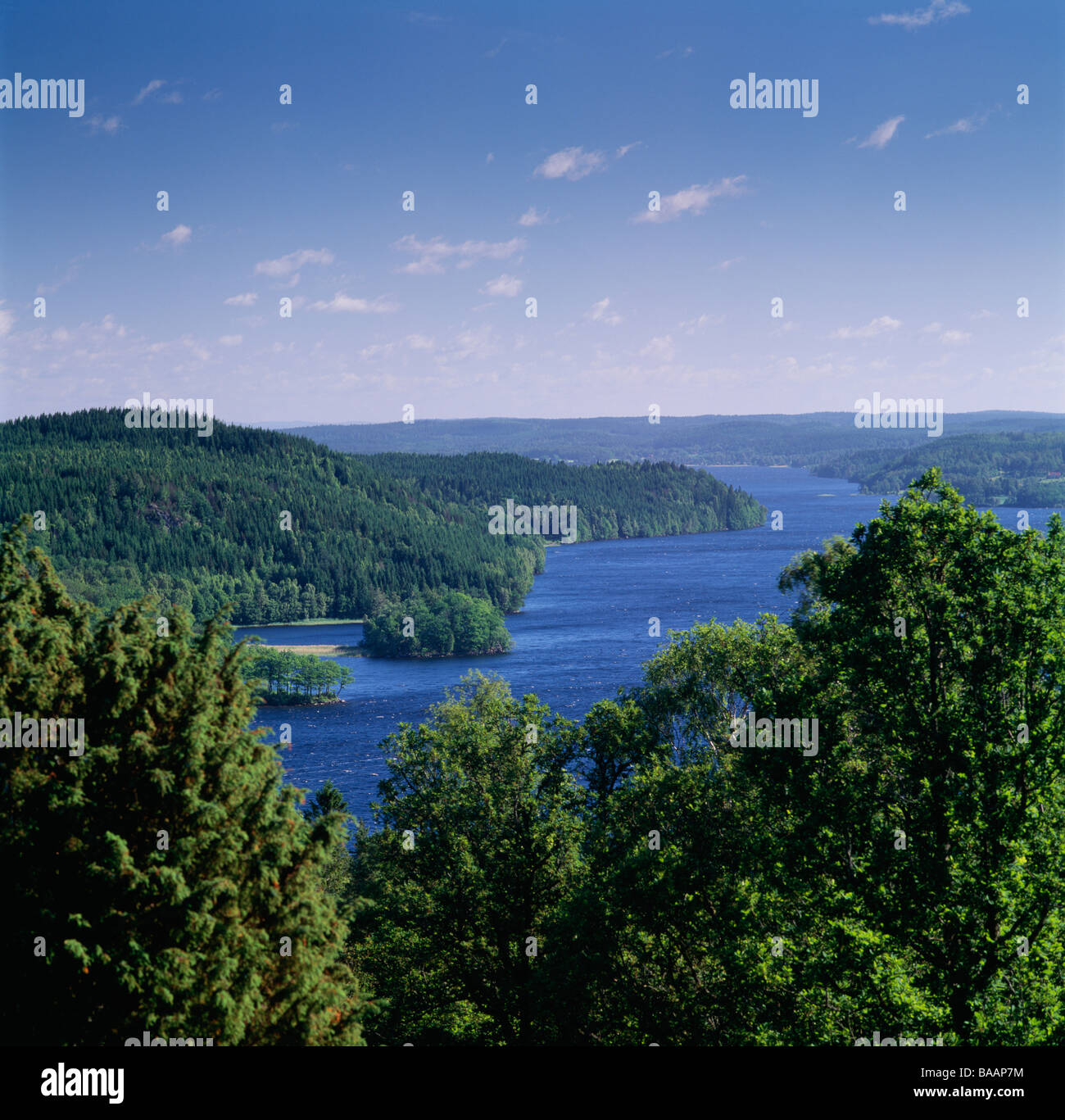 River amid forest elevated view Stock Photo - Alamy