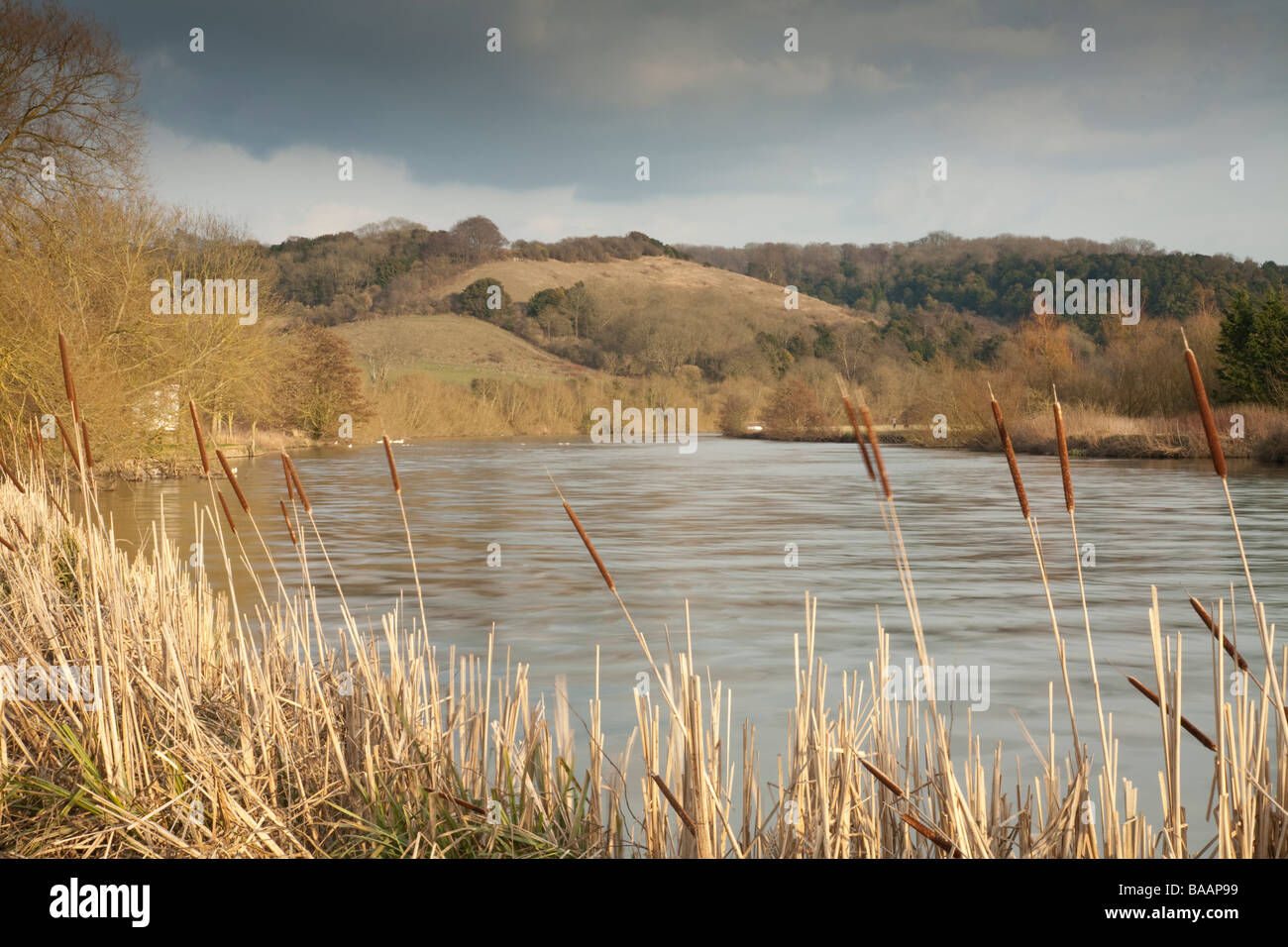 Path towards river hi-res stock photography and images - Alamy