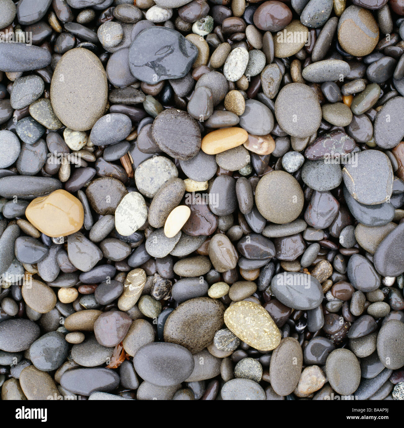 Pebbles elevated view Stock Photo - Alamy