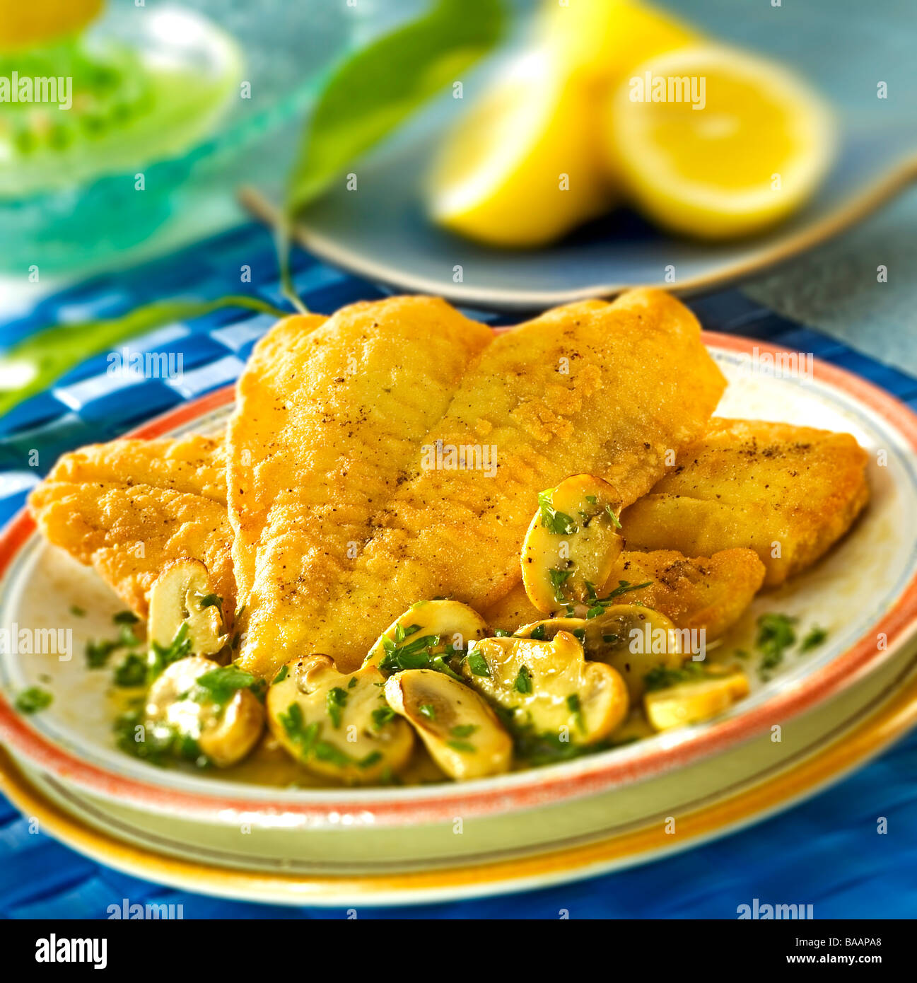 Fried fillet of fish Stock Photo - Alamy