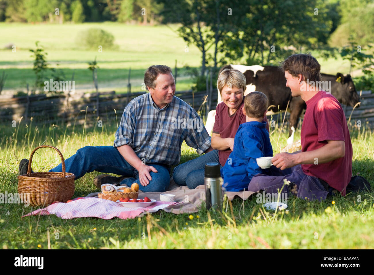 A farmer family taking a break in the grass, Sweden Stock Photo - Alamy