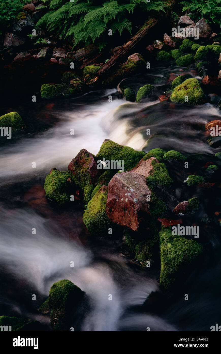 Water flowing amid moss-grown rocks Stock Photo - Alamy