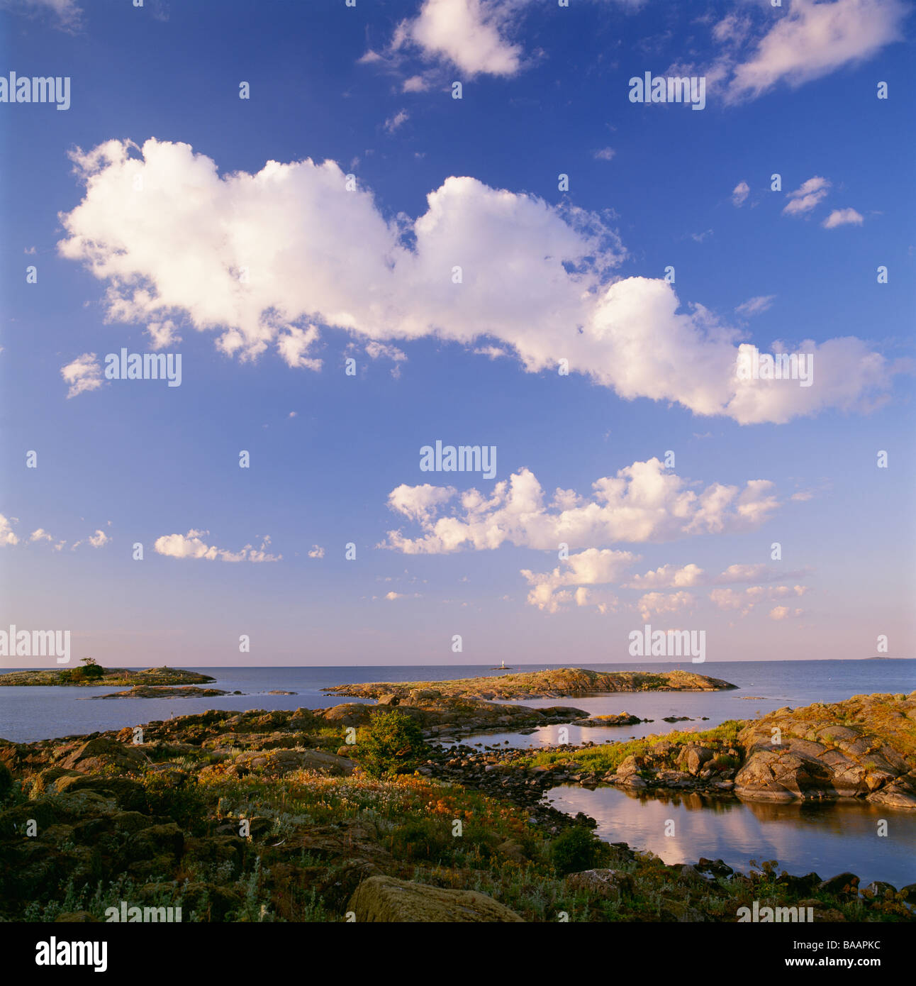 Grass and rocks at the ocean hi-res stock photography and images - Alamy