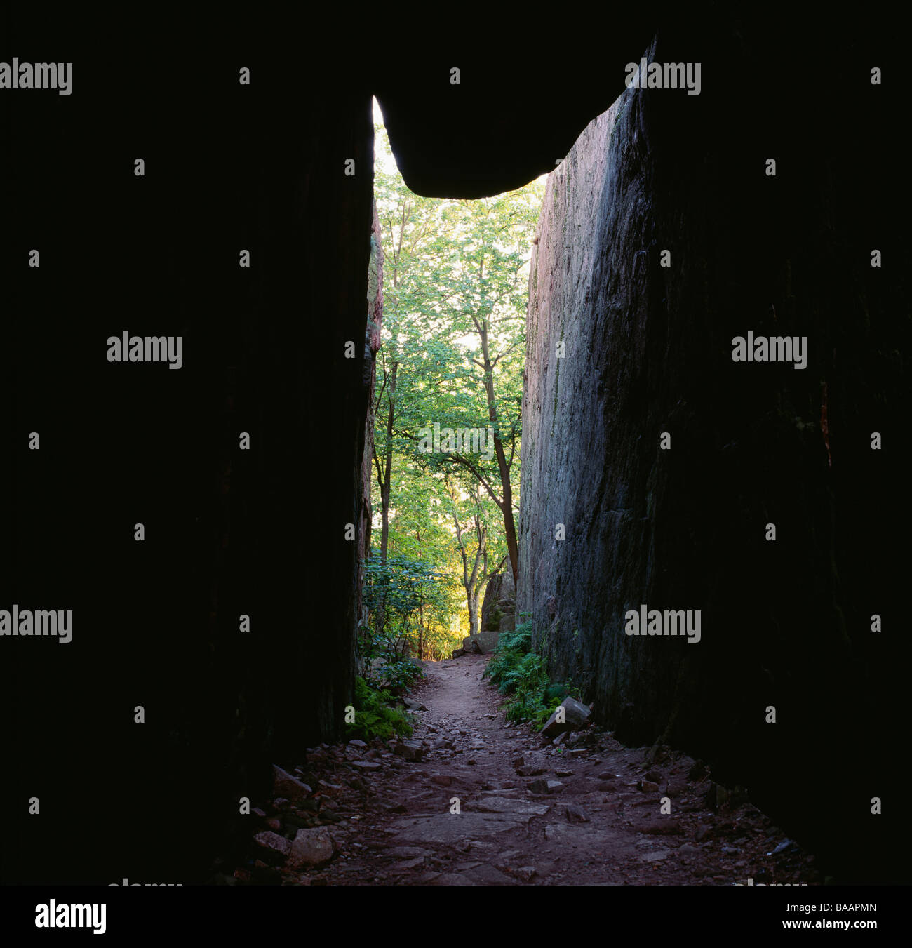 Pathway amid trees leading to cave Stock Photo - Alamy