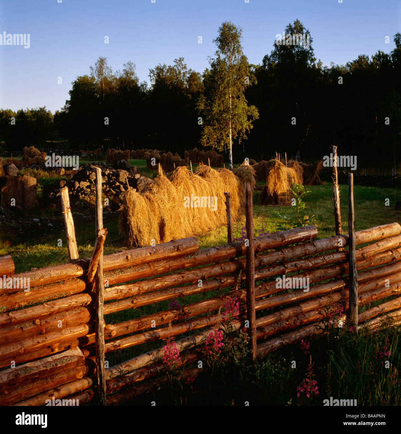Fencing around hay Stock Photo - Alamy