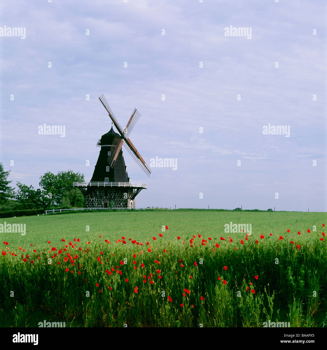 Swedish windmill skane hi-res stock photography and images - Alamy