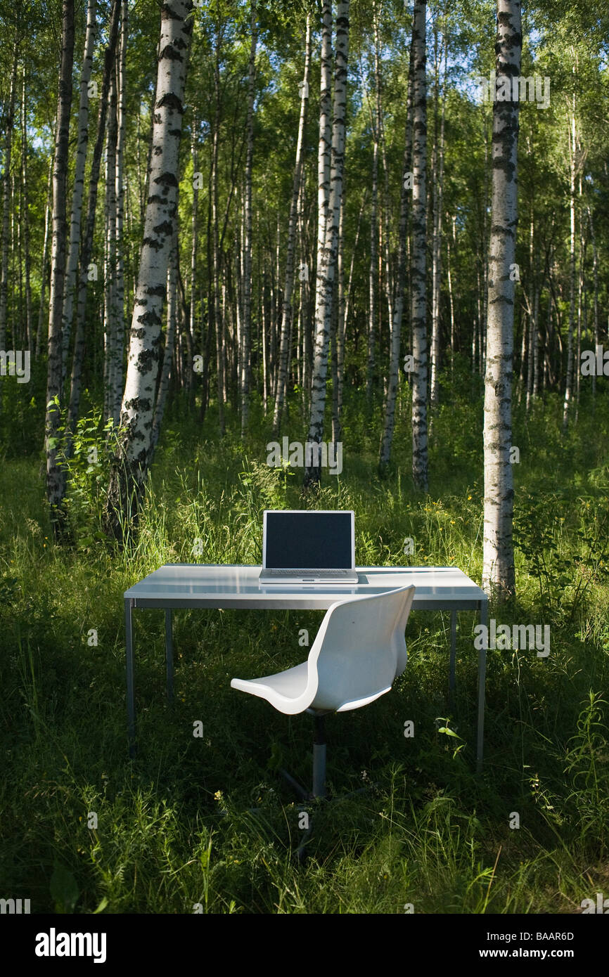 A computer on a white desk in a forest, Sweden Stock Photo - Alamy