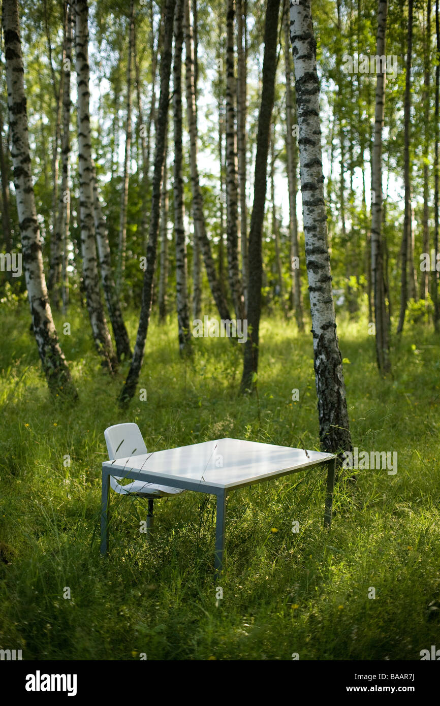 A white desk in a forest, Sweden Stock Photo - Alamy