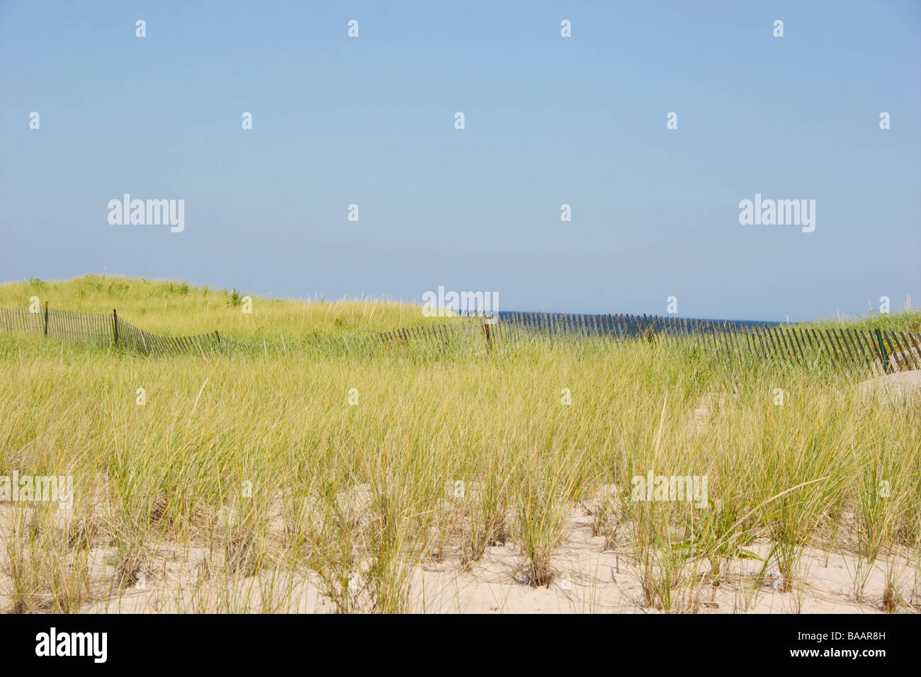 sand dunes cape cod massachusetts USA Stock Photo - Alamy