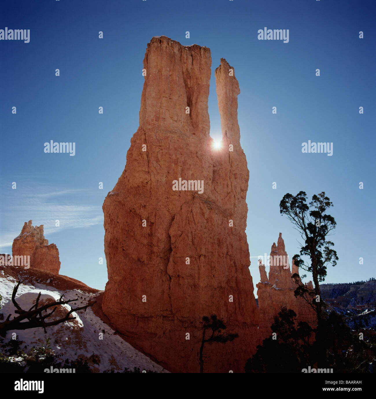 Usa trees stony formation hi-res stock photography and images - Alamy