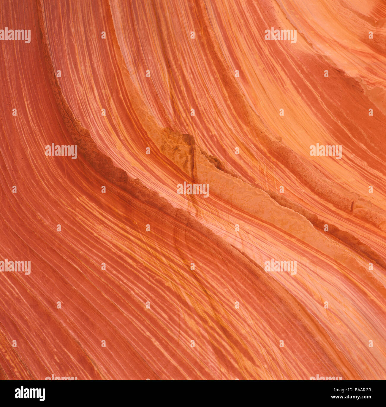 Sedimentary rock close-up Stock Photo - Alamy