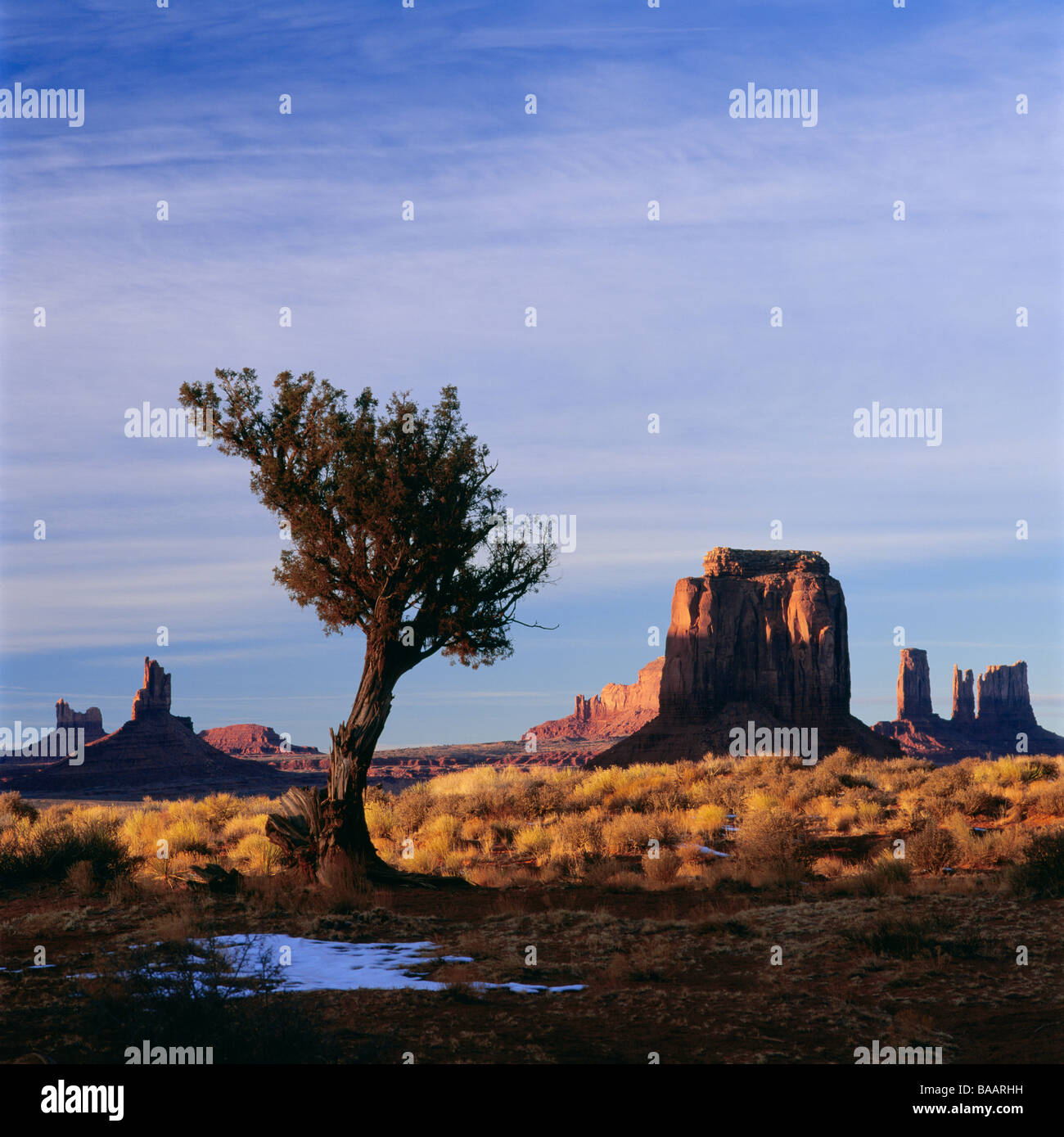 Tree on landscape with rocks in background Stock Photo - Alamy