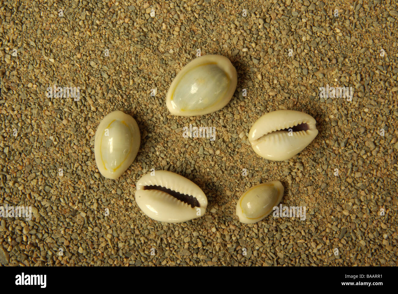 Annulus hi-res stock photography and images - Alamy