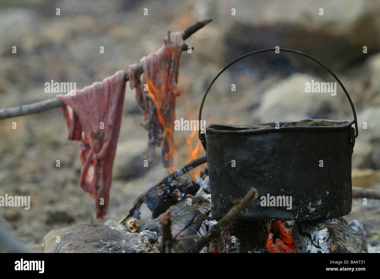 Porcupine caribou intestines are roasted on a stick over an open fire ...