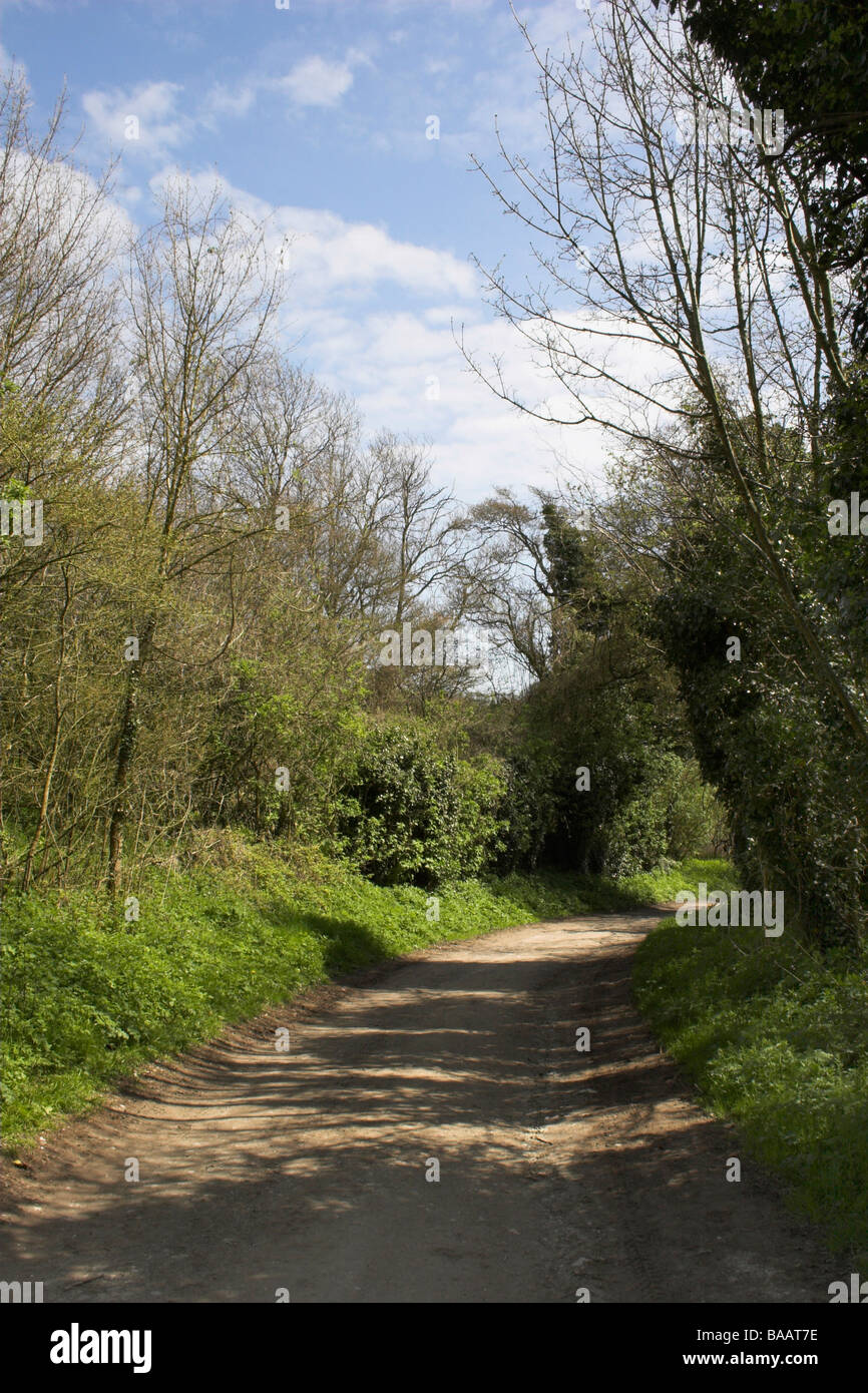 A countryside track during spring in the South Downs National Park ...