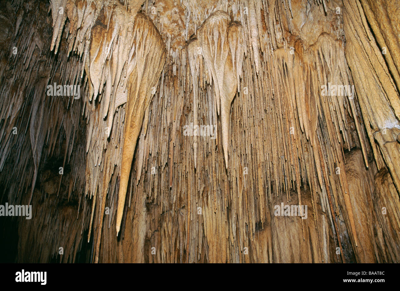 Stalactites in cave close-up Stock Photo - Alamy