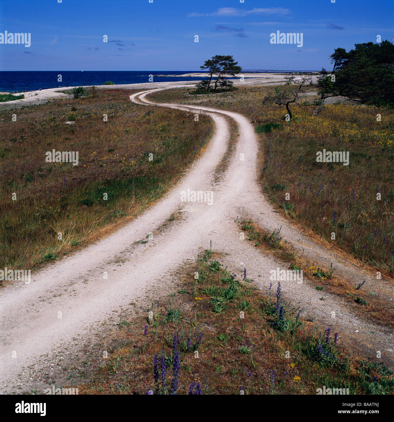 Curving dirt roads hi-res stock photography and images - Alamy