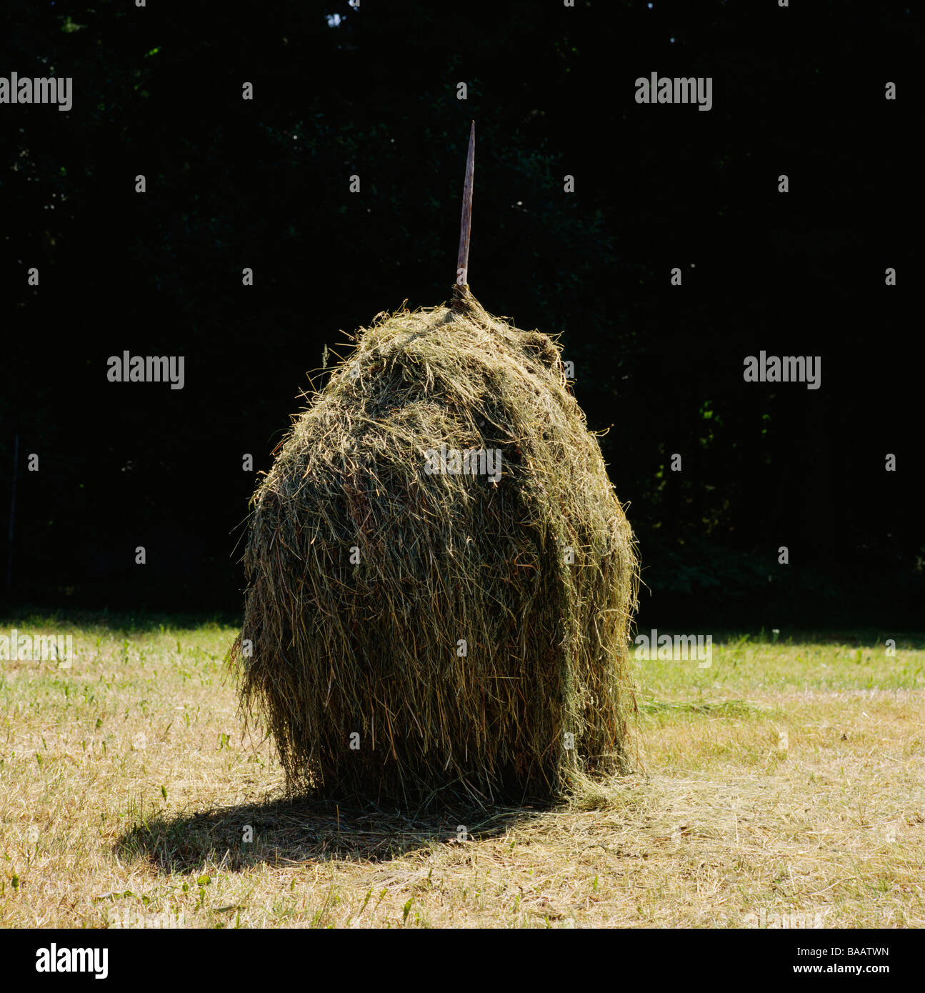 Stack of hay on ground Stock Photo - Alamy
