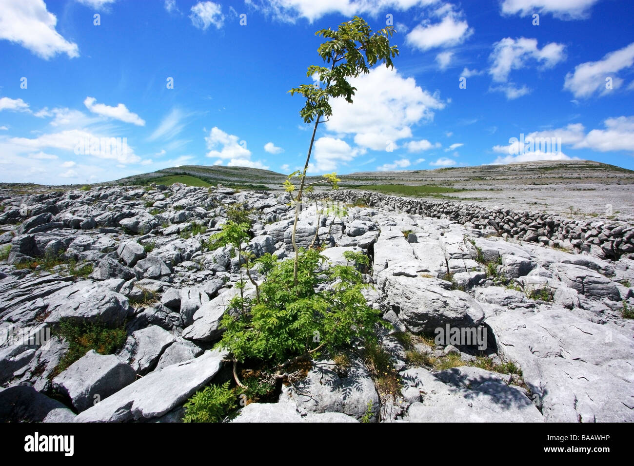 The Burren, County Clare, Ireland Stock Photo - Alamy