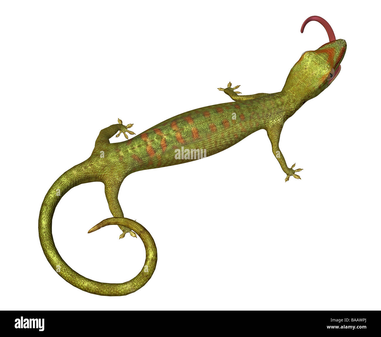 Geckos lizards Cut Out Stock Images & Pictures - Alamy